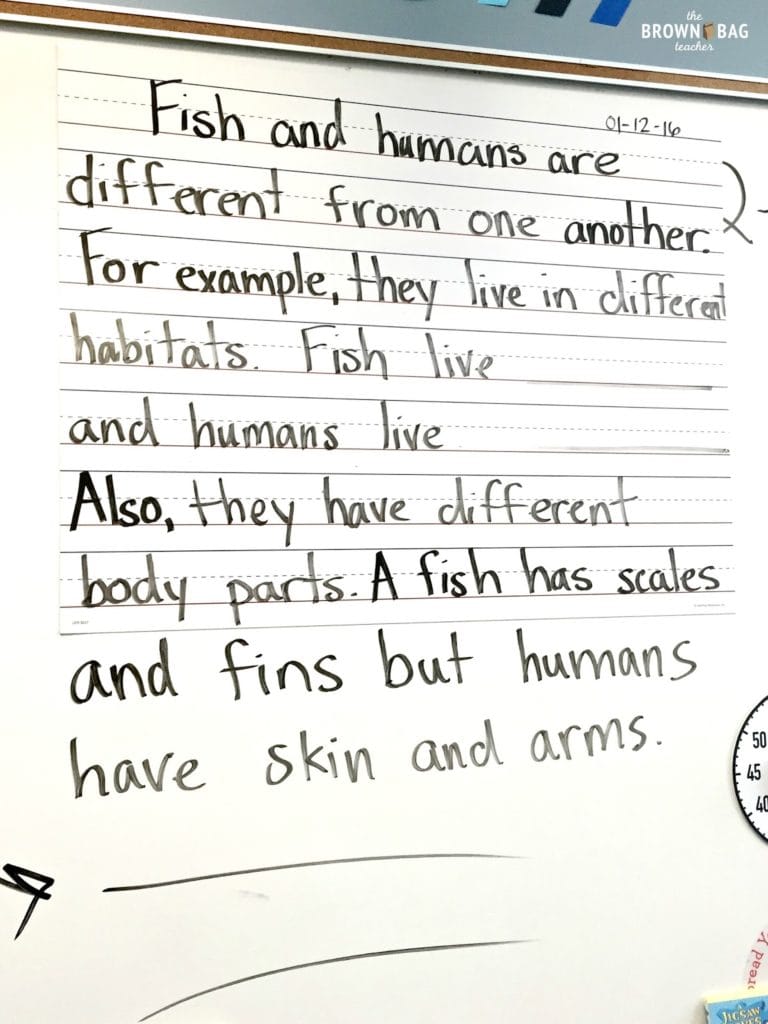 Paragraph Writing In 1st And 2nd Grade The Brown Bag Teacher Paragraph Writing In 1st And 2nd Grade The Brown Bag Teacher