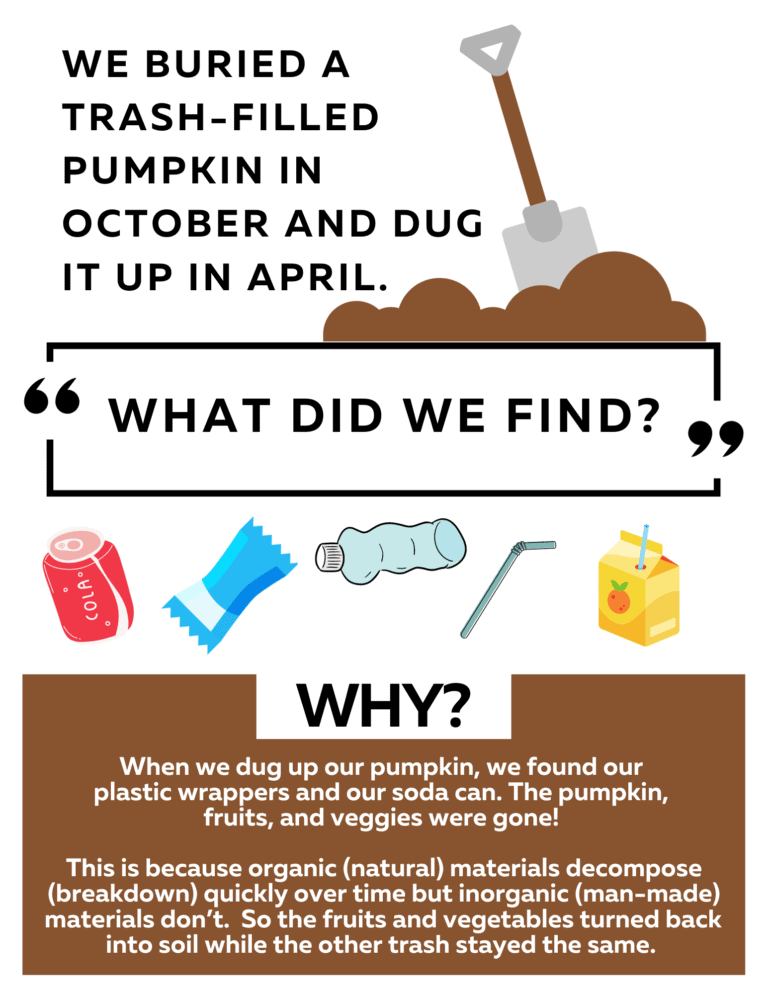 Earth Day Recycling Demonstration: From Pumpkin Science to Compost ...
