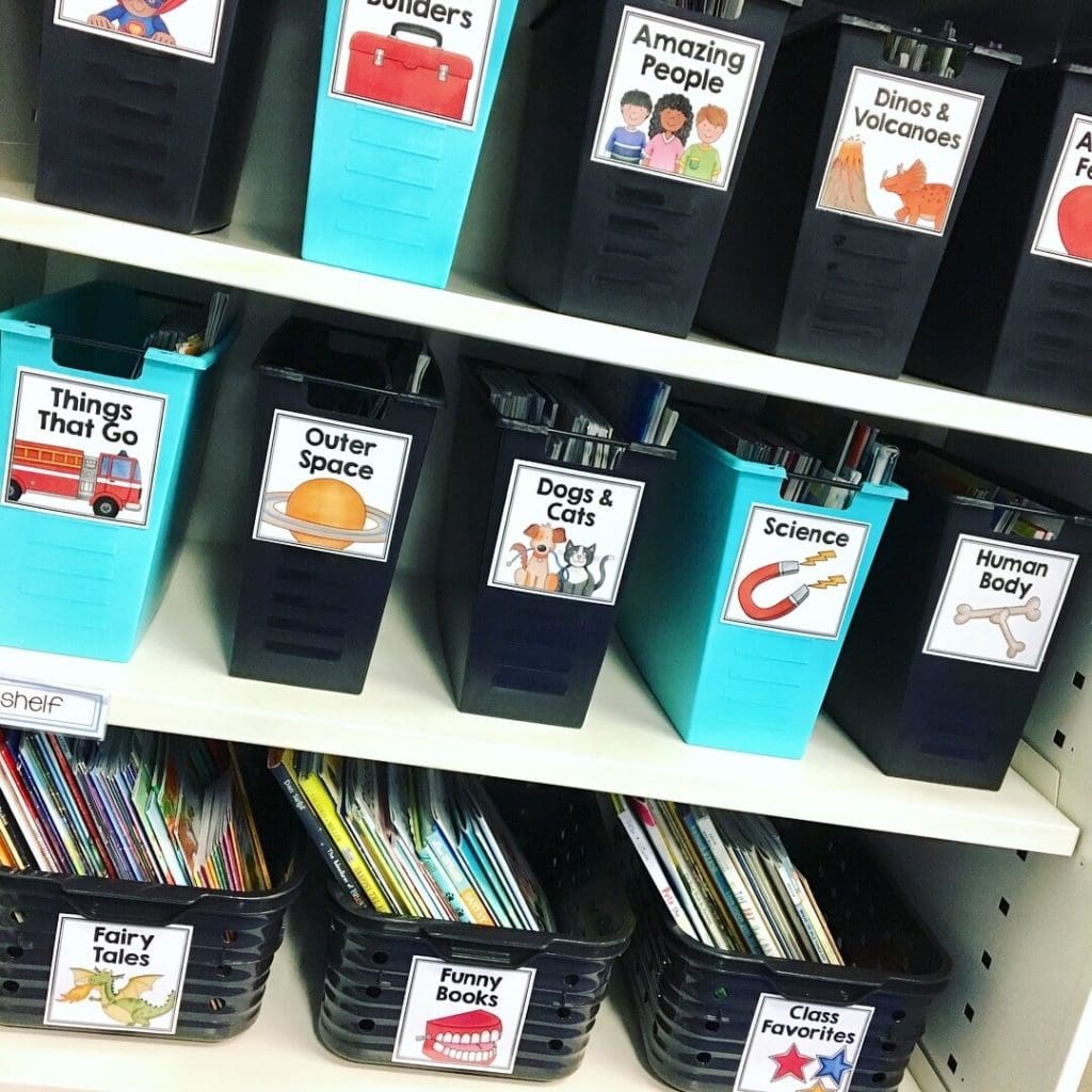 ClassroomLibrarybyTheme - The Brown Bag Teacher