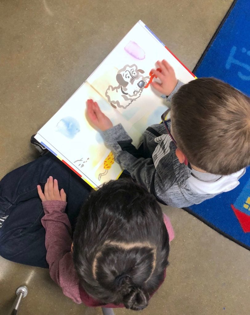 Wordless Picture Books - The Brown Bag Teacher